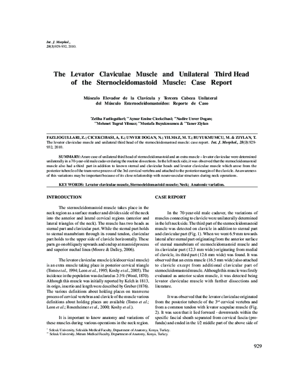 (PDF) The Levator Claviculae Muscle and Unilateral Third Head of the ...