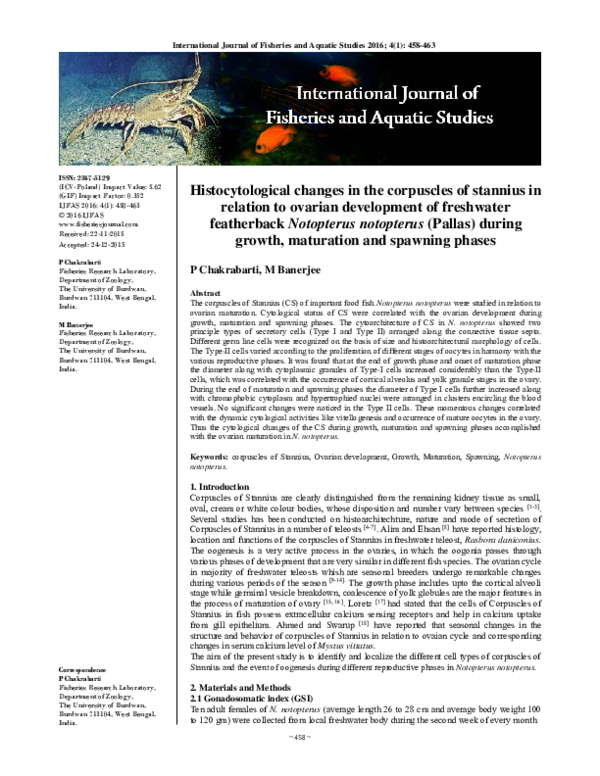 (PDF) Histocytological changes in the corpuscles of stannius in ...