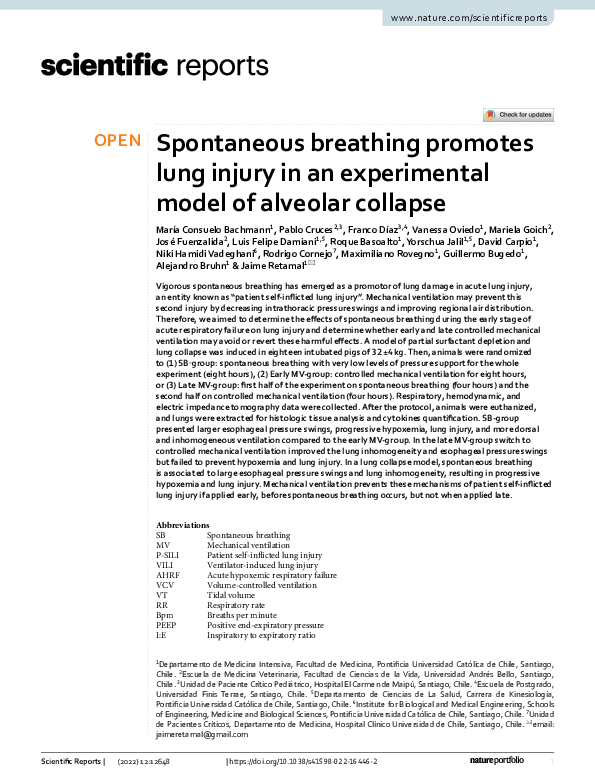 (PDF) Spontaneous breathing promotes lung injury in an experimental ...