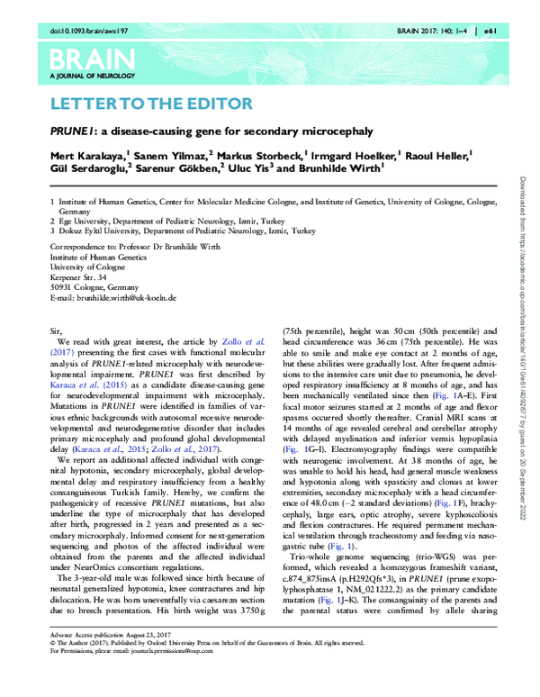 (PDF) PRUNE1: a disease-causing gene for secondary microcephaly | Mert ...