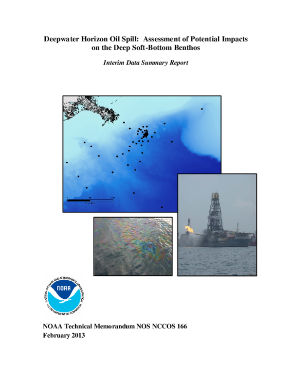(PDF) Deepwater Horizon oil spill: assessment of potential impacts on ...