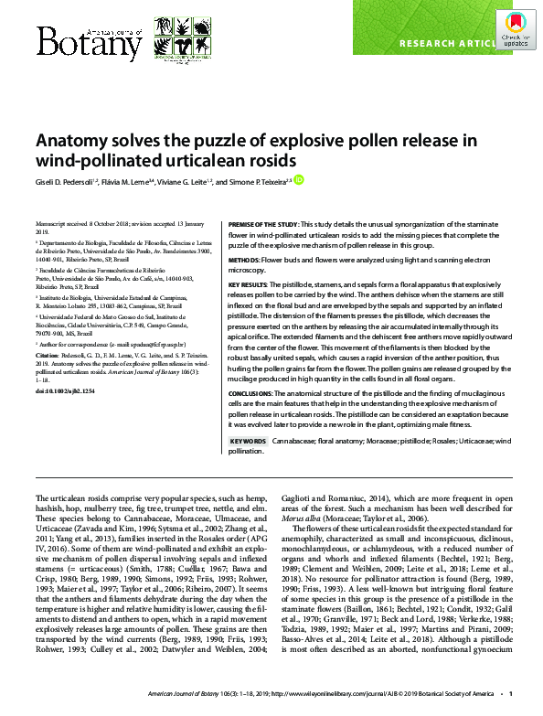 (PDF) Anatomy solves the puzzle of explosive pollen release in wind‐pollinated urticalean rosids