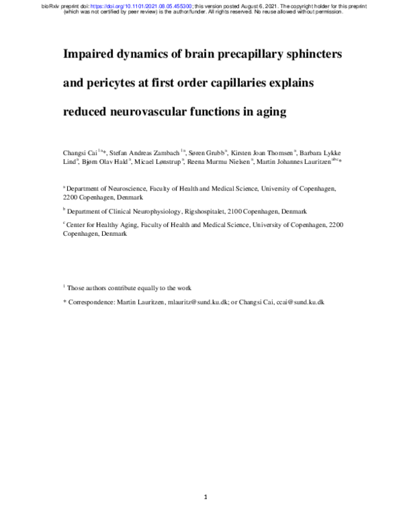 (PDF) Impaired dynamics of brain precapillary sphincters and pericytes ...