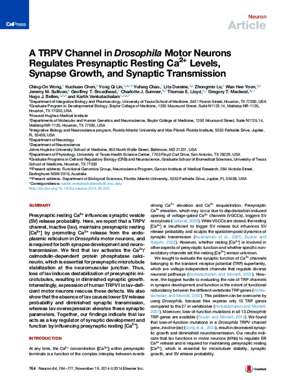 (PDF) A TRPV channel in Drosophila motor neurons regulates presynaptic ...