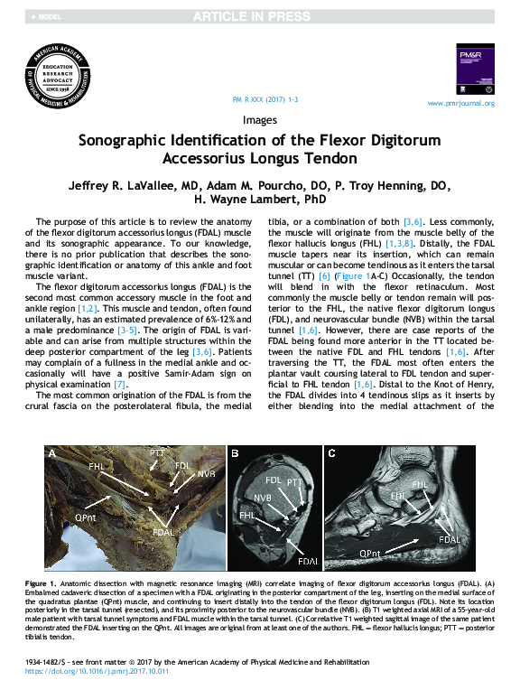 (PDF) Anomalous attachments of flexor digitorum longus and flexor ...