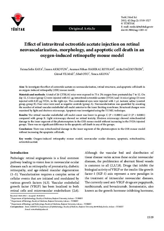 (PDF) Cytoarchitectonic and apoptotic consequences after intravitreal ...