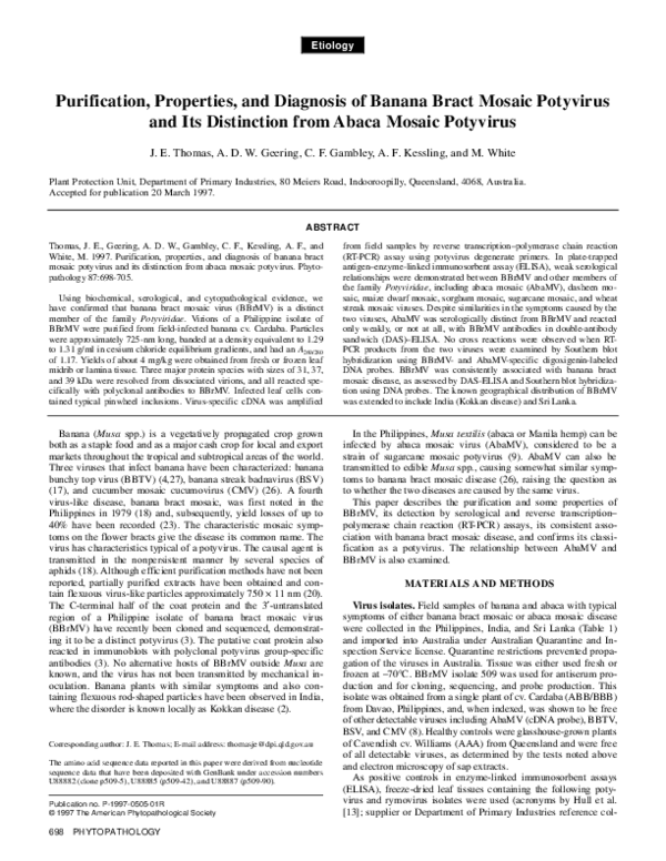 (PDF) Purification, Properties, and Diagnosis of Banana Bract Mosaic Potyvirus and Its ...
