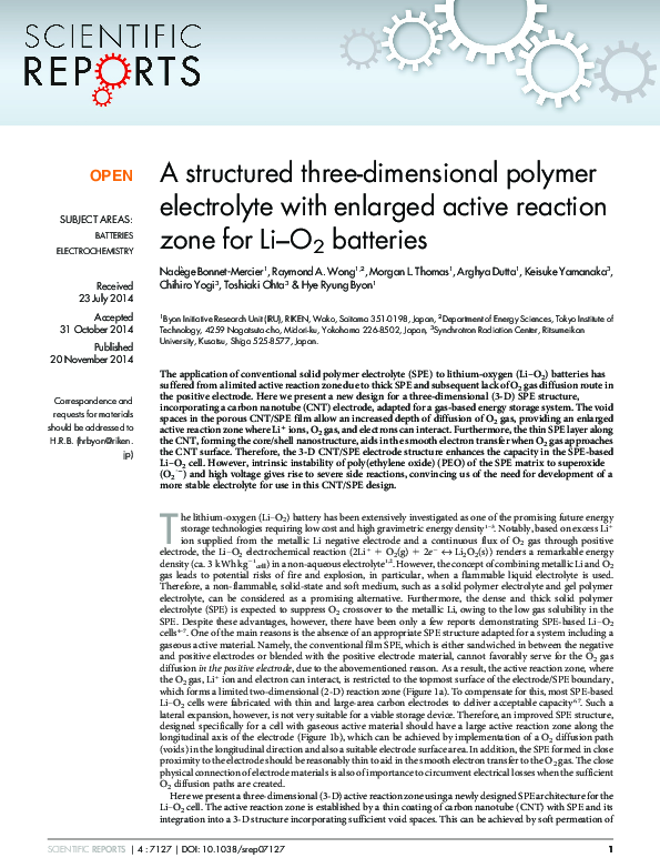 (PDF) A structured three-dimensional polymer electrolyte with enlarged ...