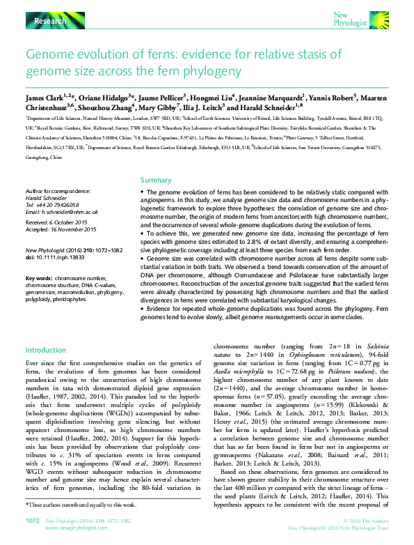 (PDF) Genome evolution of ferns: evidence for relative stasis of genome size across the fern ...