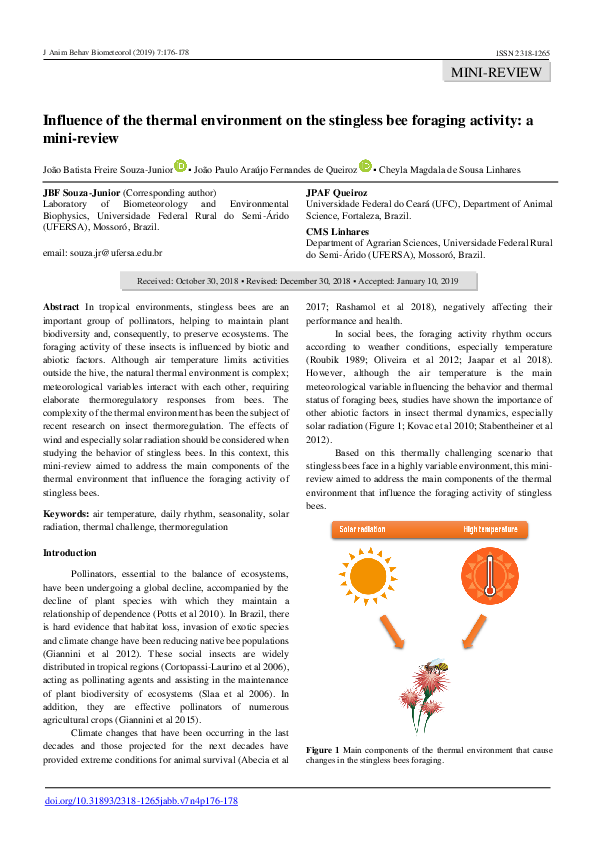 (PDF) Adaptive and Foraging Behavior of Two Stingless Bee Species in ...