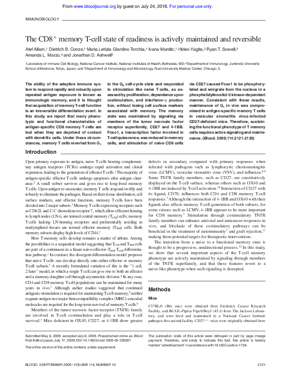 The CD8+ memory T-cell state of readiness is actively maintained and ...
