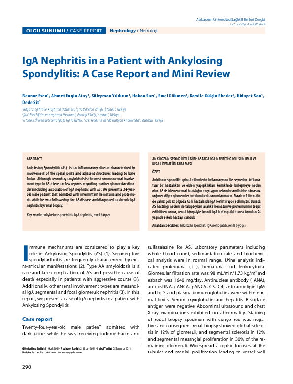 (PDF) IgA Nephritis in a Patient with Ankylosing Spondylitis: A Case ...
