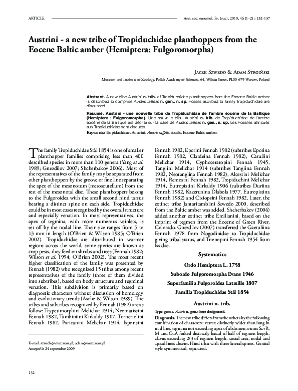 (PDF) Austrini - a new tribe of Tropiduchidae planthoppers from the ...