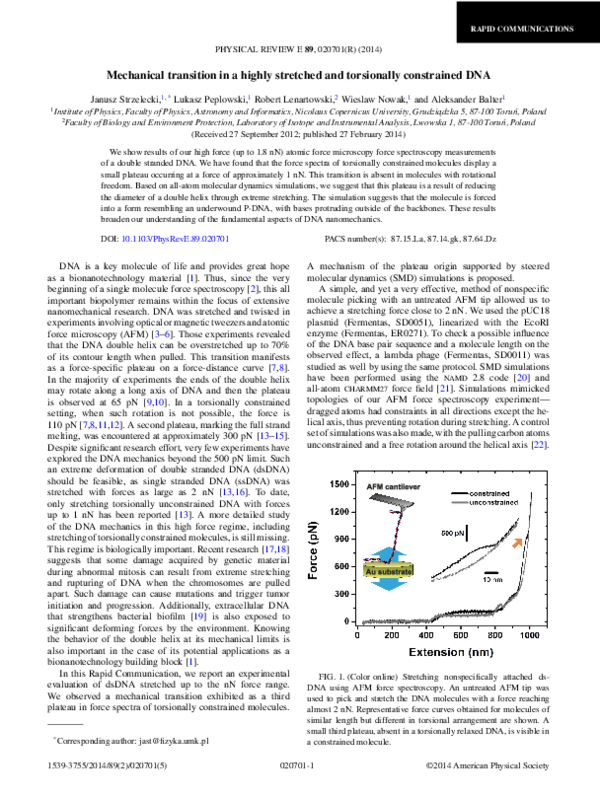 (PDF) Mechanical transition in a highly stretched and torsionally ...
