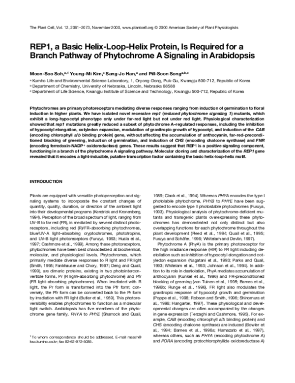 (PDF) REP1, a Basic Helix-Loop-Helix Protein, Is Required for a Branch ...