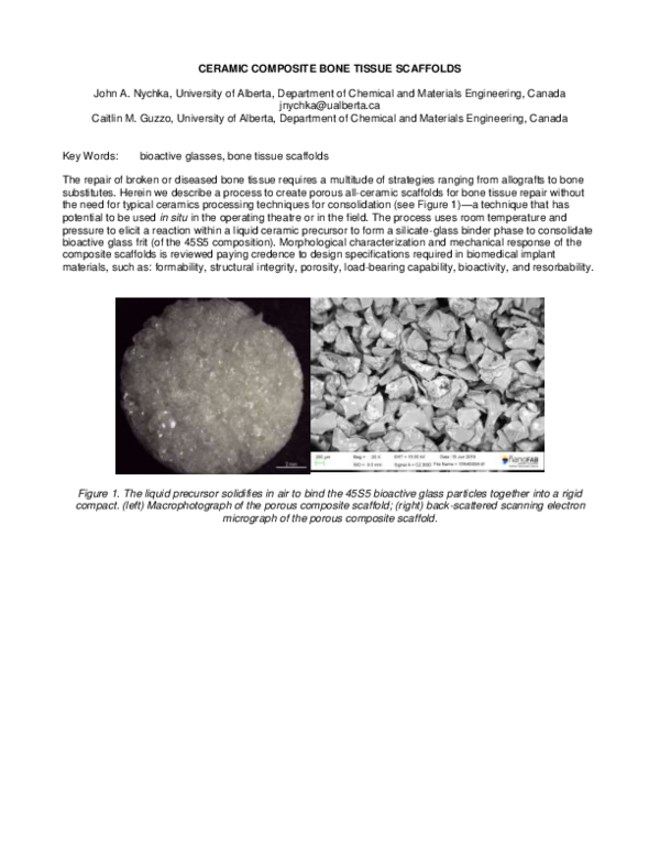 (PDF) Ceramic composite bone tissue scaffolds