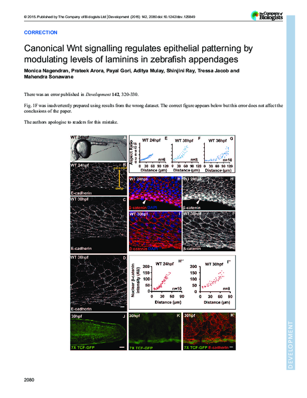 (PDF) Canonical Wnt signalling regulates epithelial patterning by ...
