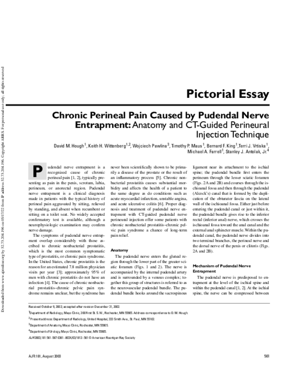 (PDF) Chronic Perineal Pain Caused by Pudendal Nerve Entrapment ...