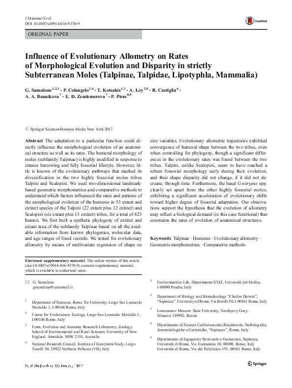 (PDF) Influence of Evolutionary Allometry on Rates of Morphological ...
