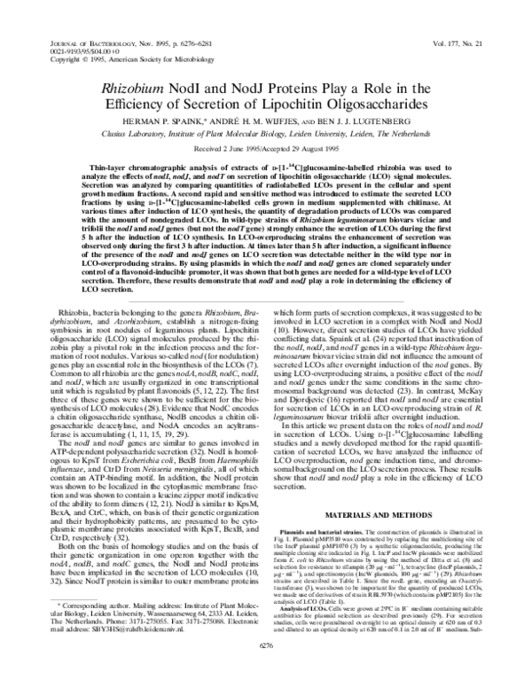 (PDF) Rhizobium NodI and NodJ proteins play a role in the efficiency of ...