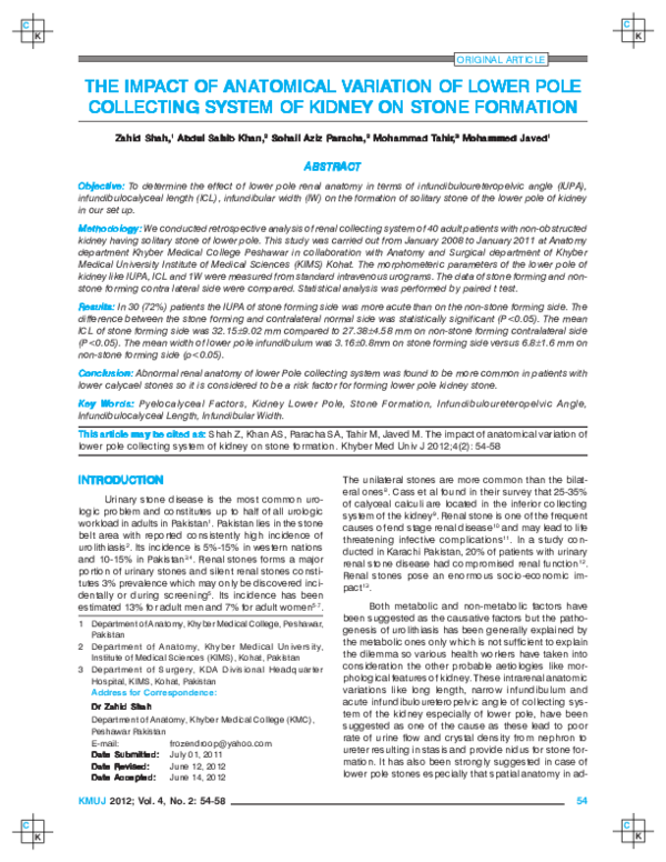 (PDF) The Impact of Anatomical Variation of Lower Pole Collecting ...