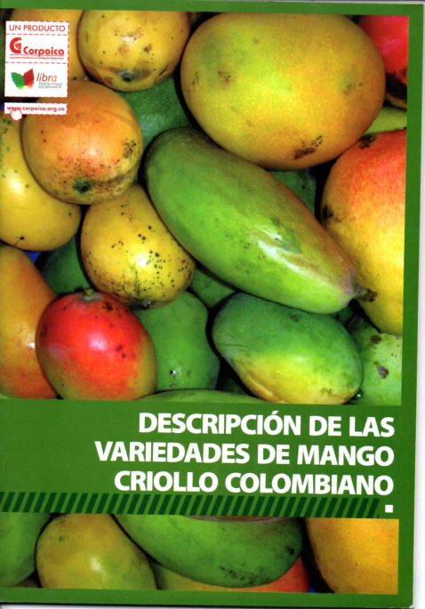(PDF) Descripción de las variedades de mango criollo colombiano