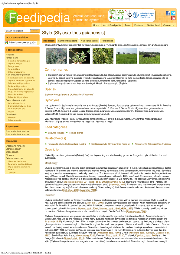 (PDF) Stylo (Stylosanthes guianensis)