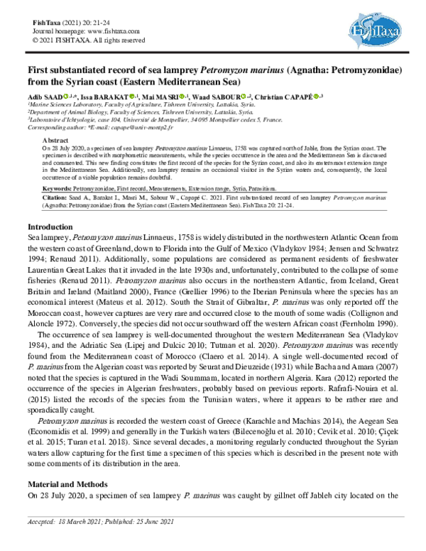 (PDF) First substantiated record of sea lamprey Petromyzon marinus ...