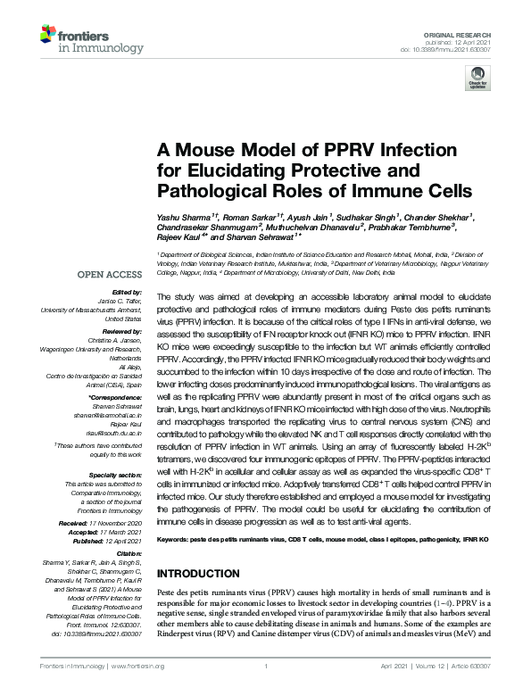 (PDF) A Mouse Model of PPRV Infection for Elucidating Protective and ...