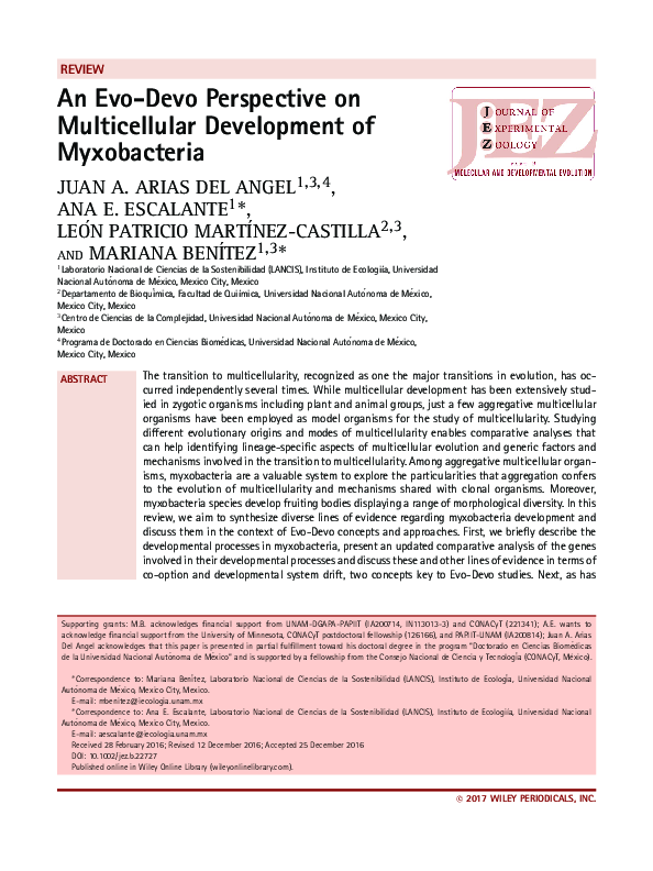 (PDF) An Evo-Devo Perspective on Multicellular Development of Myxobacteria