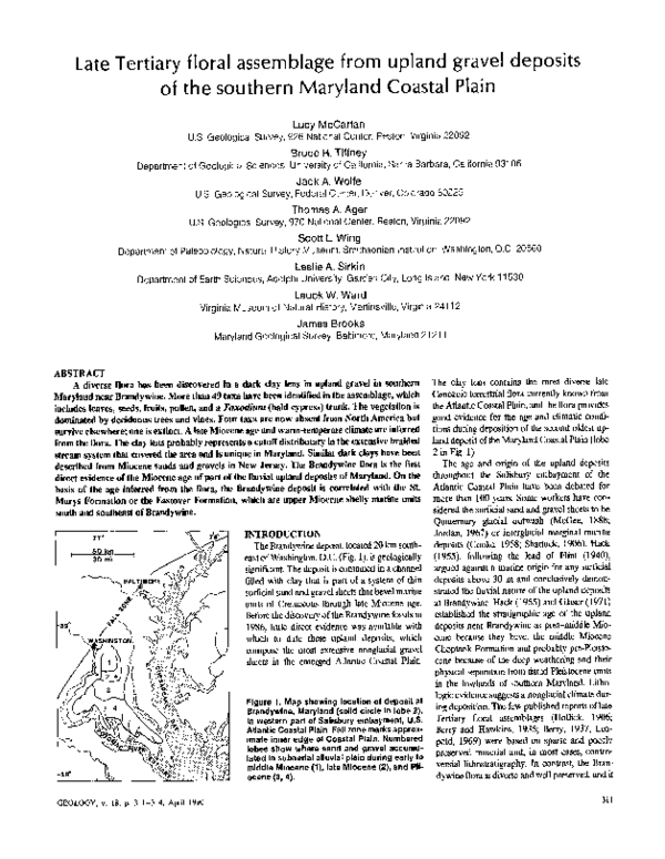 (PDF) Late Tertiary floral assemblage from upland gravel deposits of ...