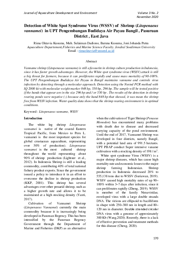 (PDF) Detection of White Spot Syndrome Virus (WSSV) of Shrimp ...