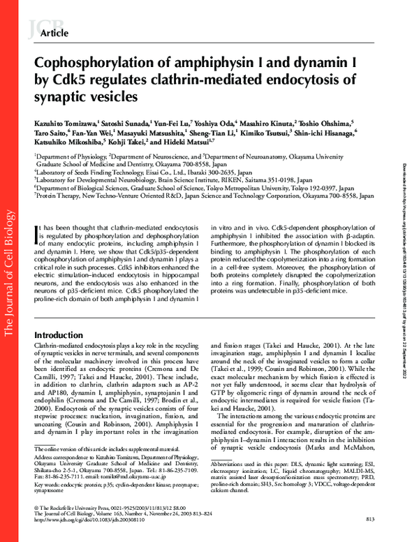 (PDF) Cophosphorylation of amphiphysin I and dynamin I by Cdk5 ...