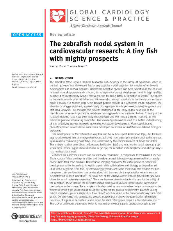 (PDF) The zebrafish model system in cardiovascular research: A tiny ...