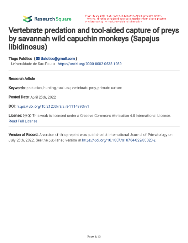 (PDF) Vertebrate predation and tool-aided capture of preys by savannah wild capuchin monkeys ...