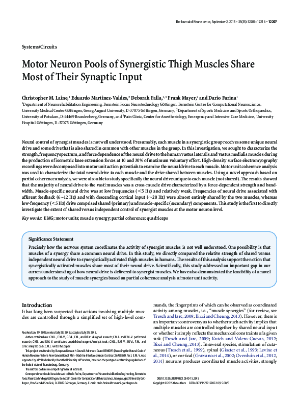 (PDF) Motor Neuron Pools of Synergistic Thigh Muscles Share Most of Their Synaptic Input