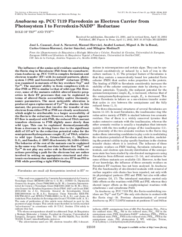 (PDF) Anabaena sp. PCC 7119 Flavodoxin as Electron Carrier from ...