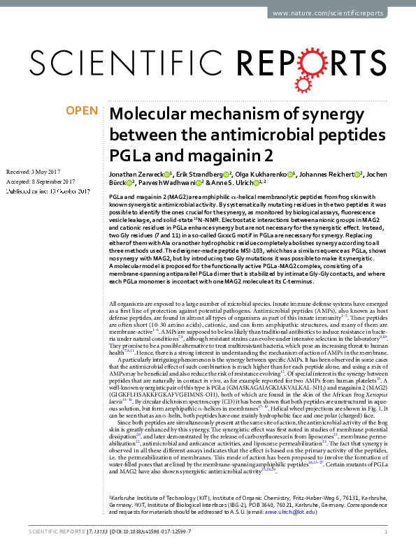 (PDF) Molecular mechanism of synergy between the antimicrobial peptides ...