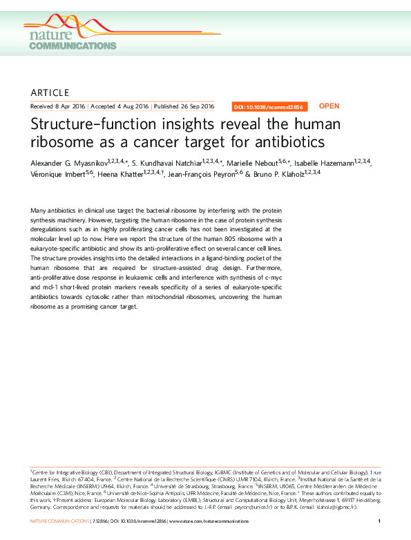 (PDF) Structure-function insights reveal the human ribosome as a cancer ...