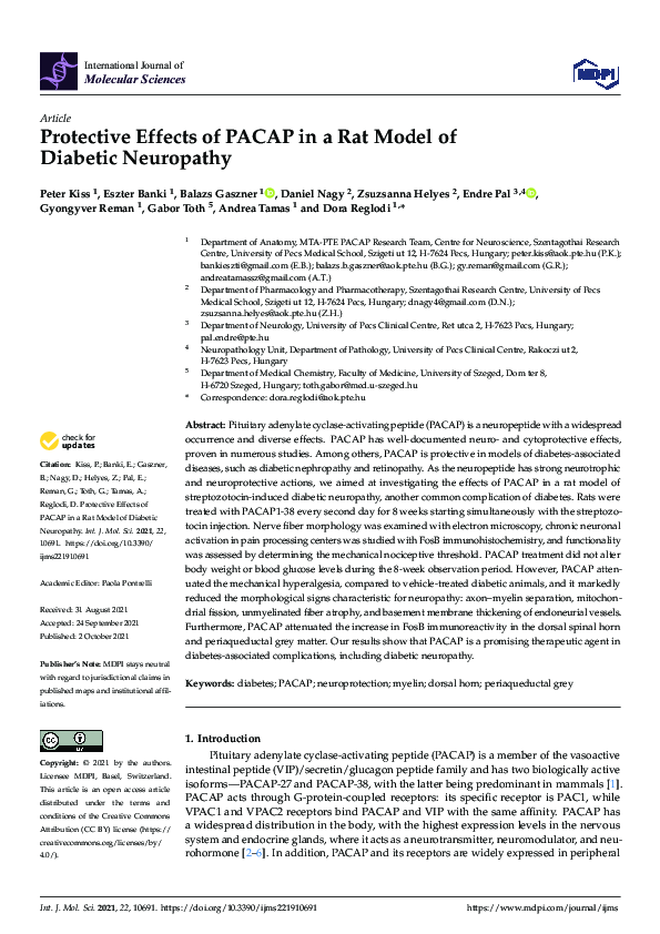 (PDF) Protective Effects of PACAP in a Rat Model of Diabetic Neuropathy