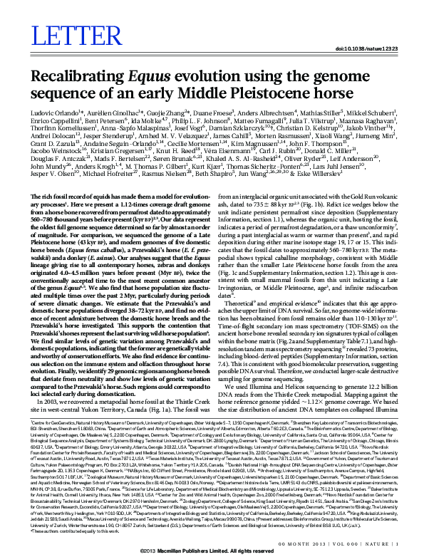 (PDF) Recalibrating Equus evolution using the genome sequence of an early Middle Pleistocene horse