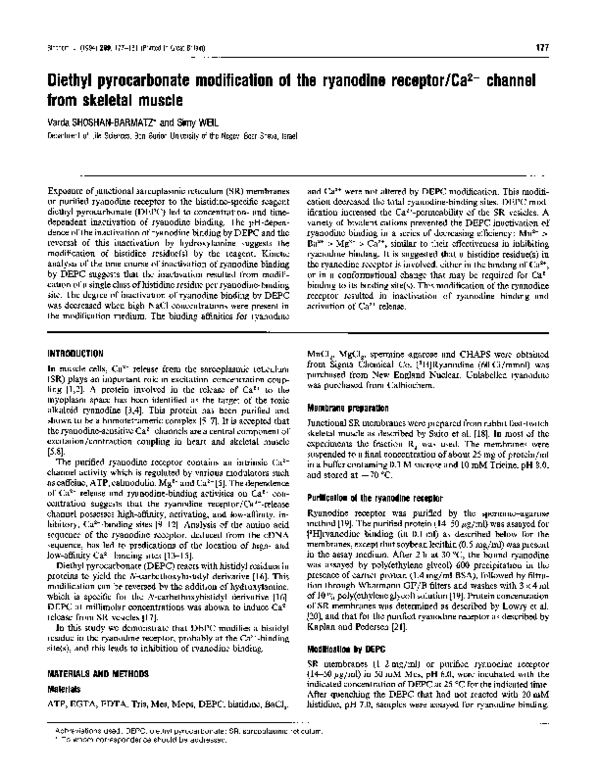 (PDF) Diethyl pyrocarbonate modification of the ryanodine receptor/Ca 2 ...