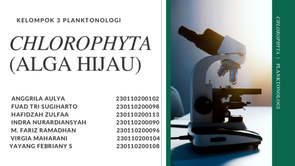 (PDF) CHLOROPHYTA (ALGA HIJAU