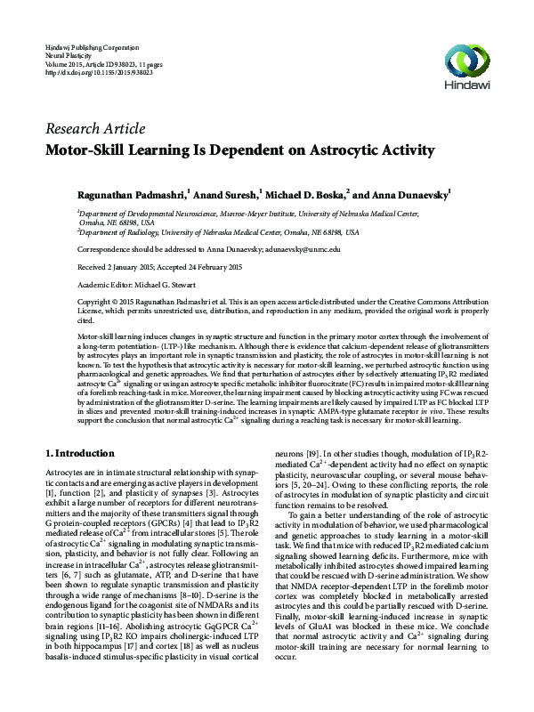 (PDF) Motor-Skill Learning Is Dependent on Astrocytic Activity