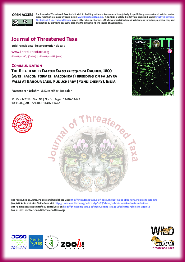 (PDF) The Red-headed Falcon Falco chicquera Daudin, 1800 (Aves ...