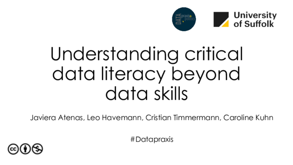 (PDF) Understanding critical data literacy beyond data skills