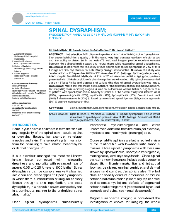 (PDF) Spinal Dysraphism; Frequency of Rare Cases of Spinal Dysmorphism ...