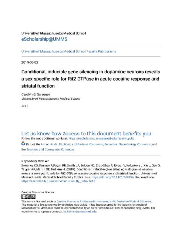 (PDF) Dopamine-independent action of cocaine on striatal and accumbal ...