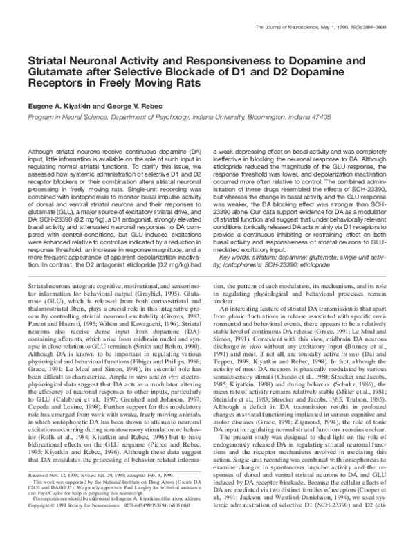 (PDF) Striatal Neuronal Activity and Responsiveness to Dopamine and ...