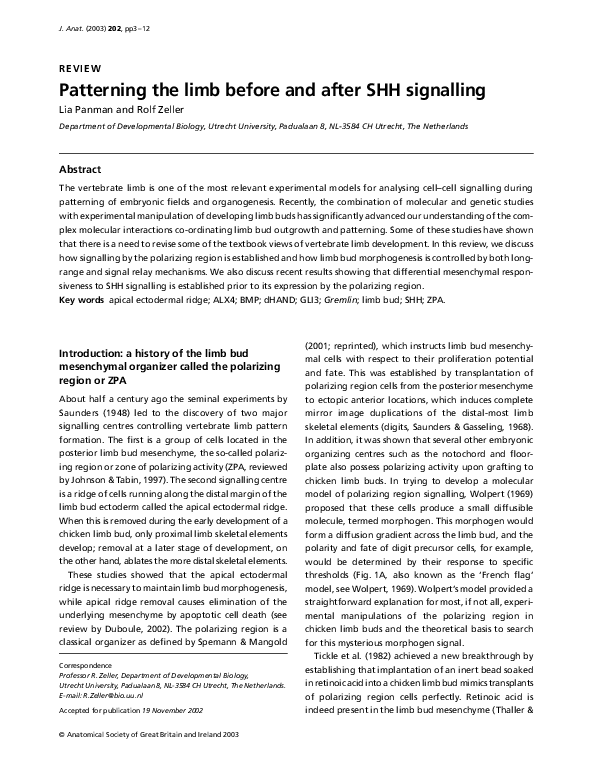 (PDF) Patterning the limb before and after SHH signalling